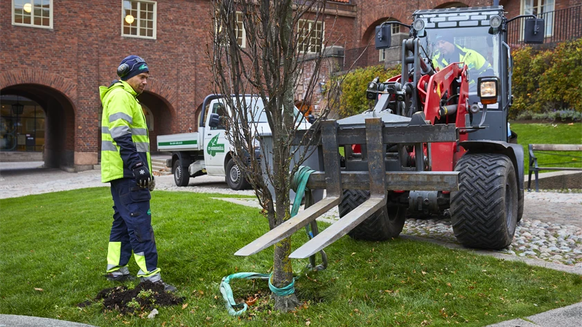 Höjt försörjningskrav för arbetskraftsinvandrare från 1 oktober - Gröna