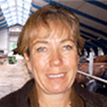 Representanter i LAMK - Gröna